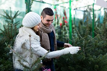 Skytop Special: "I Wish to Have a Christmas Tree" Package | Skytop Lodge