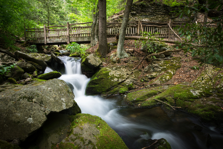 Top 5 Things to Know Before Visiting Bushkill Falls