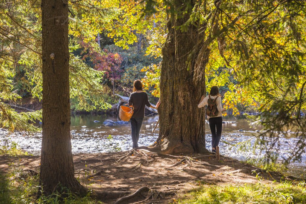 The Best Hikes in the Poconos to see Fall Colors | Skytop Lodge